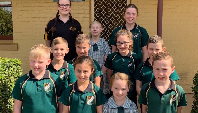 Mulgoa’s Moonlight Market - District Gazette